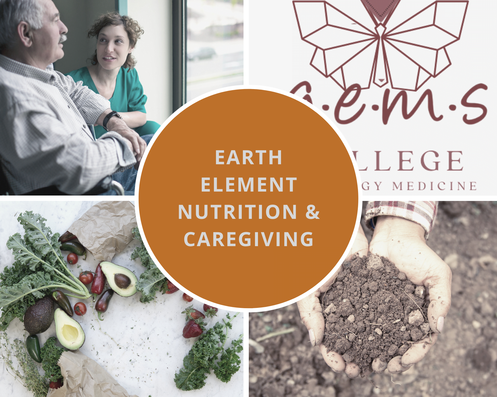 Earth Element Path – GEMS College of Energy Medicine