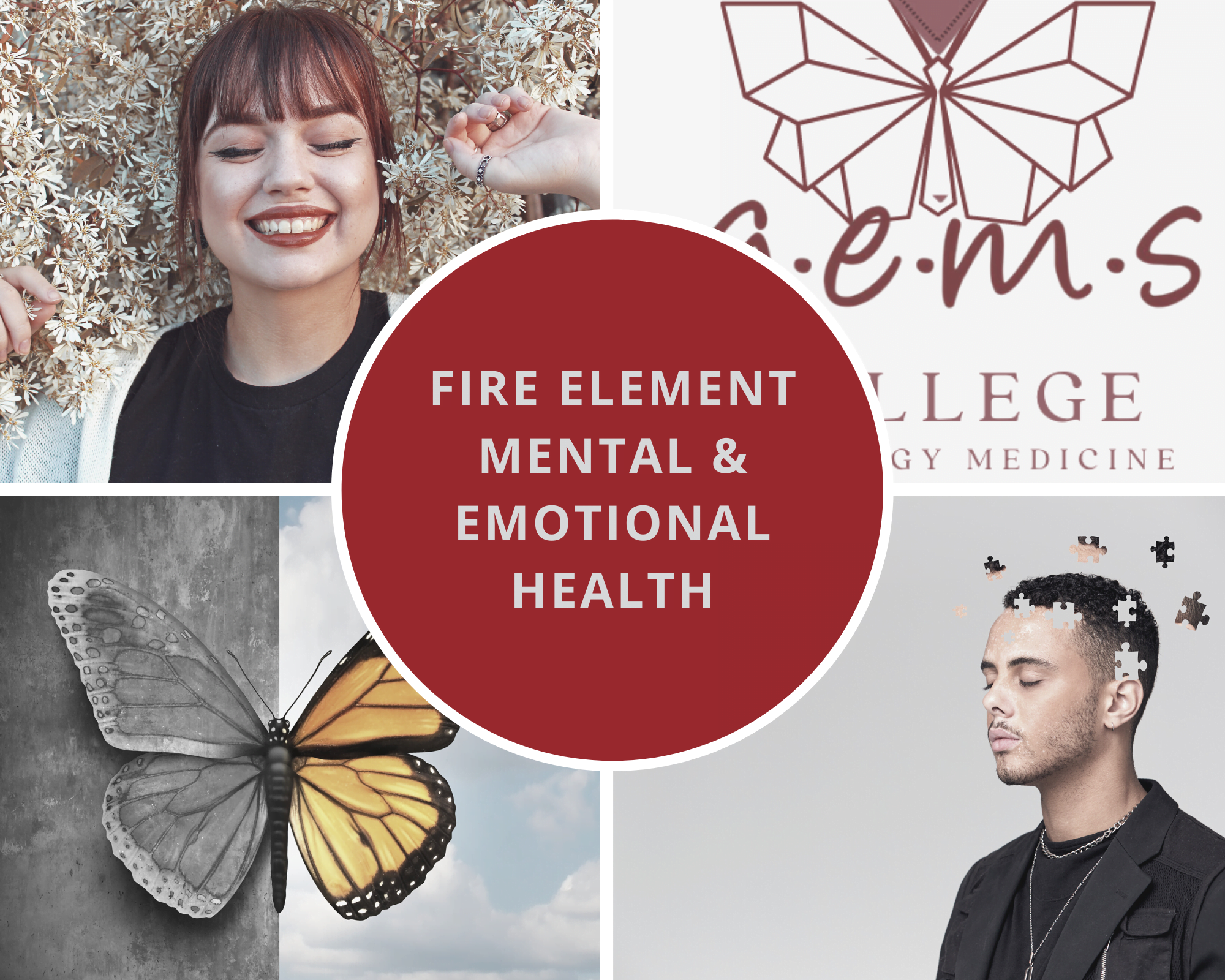 Fire Element Path – GEMS College of Energy Medicine